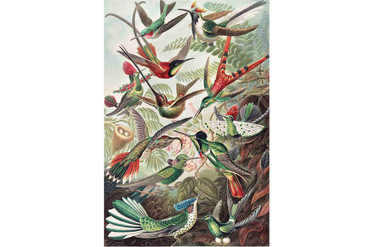 Birds in Flight – Mosaic Puzzles